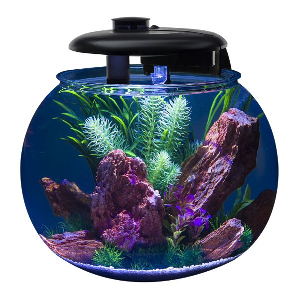 Penn-Plax eOrder | Aquariums, Habitats & Tanks