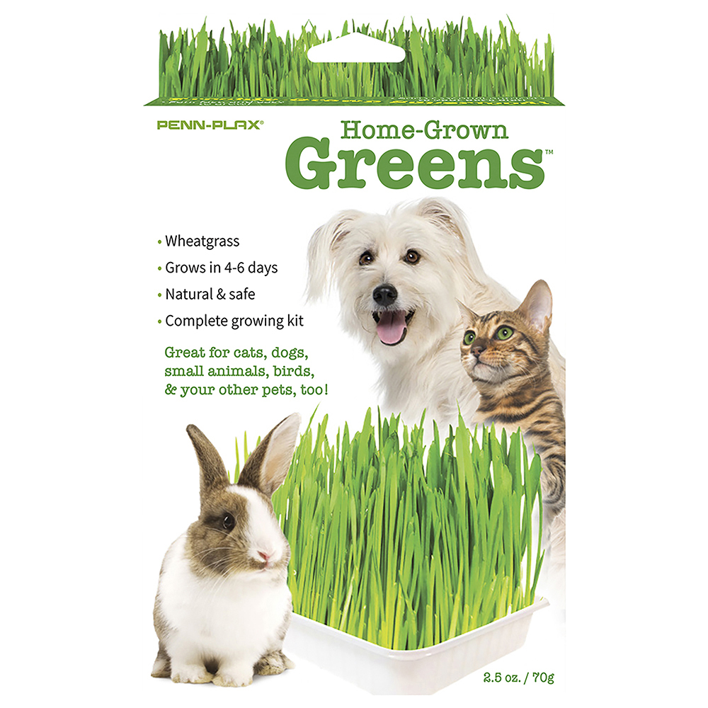 Penn-Plax eOrder | Small Animal Life™ Home-Grown Greens